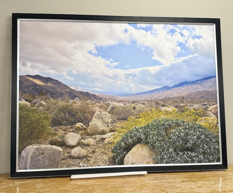 Hotel Surplus: Hyatt Regency - Large Canvas Art
